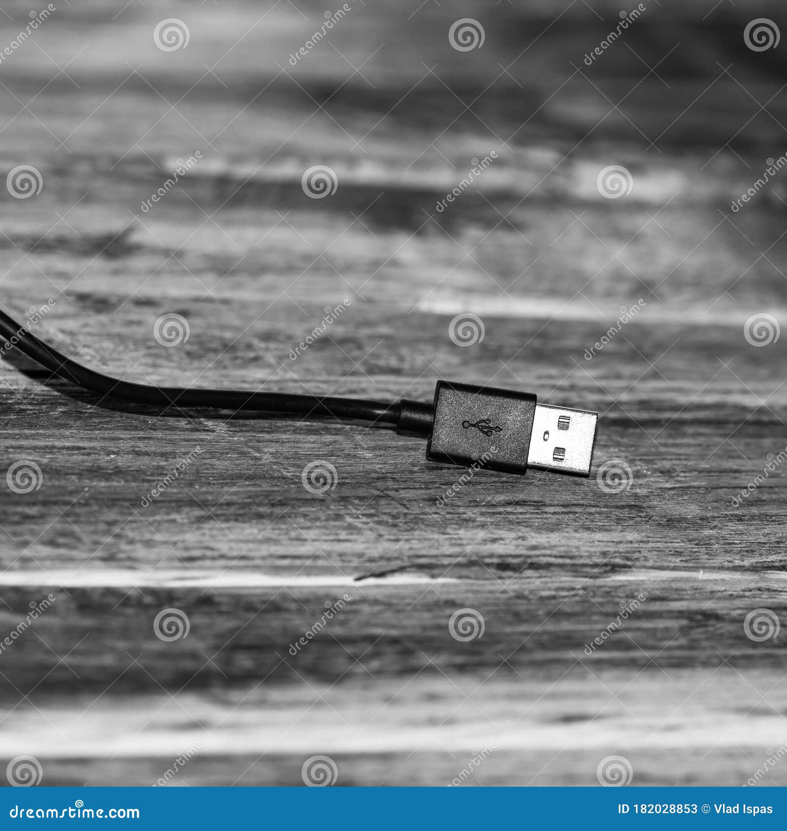 Close Up of Black USB Cable Isolated, Cable USB Connection Stock Image ...