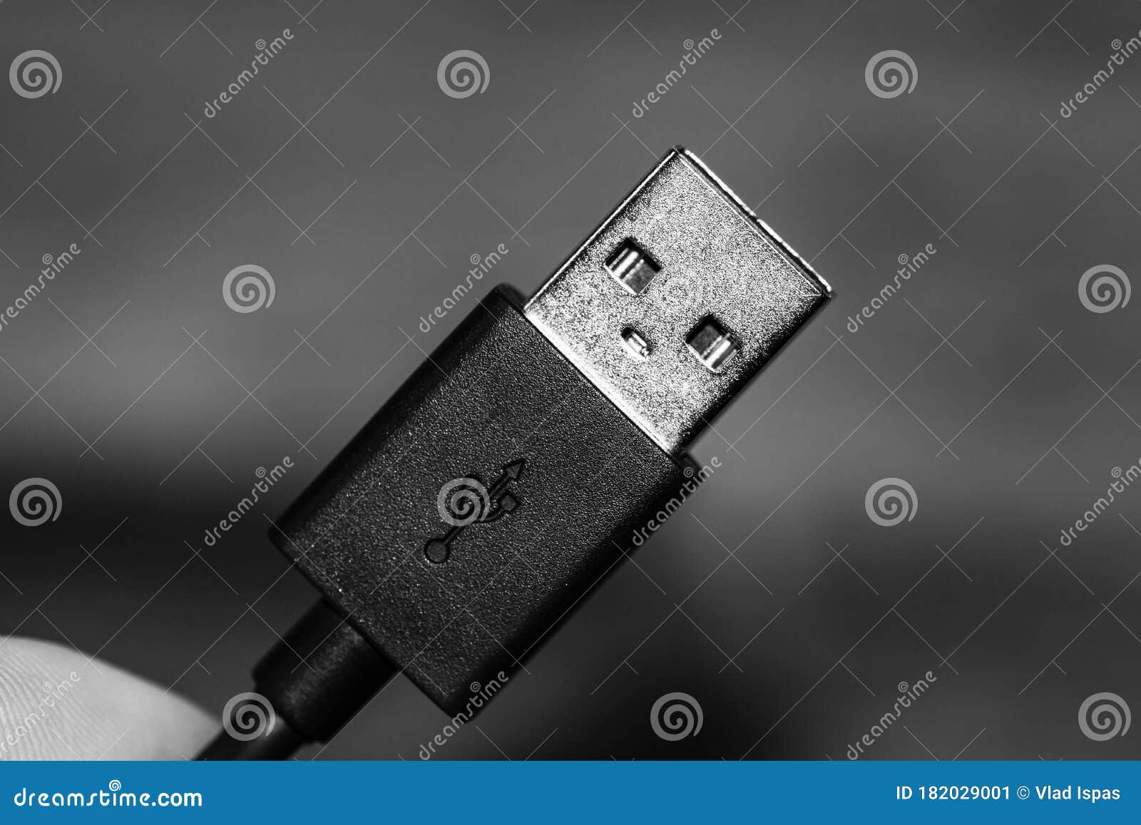 Close Up of Black USB Cable Isolated, Cable USB Connection Stock Image ...