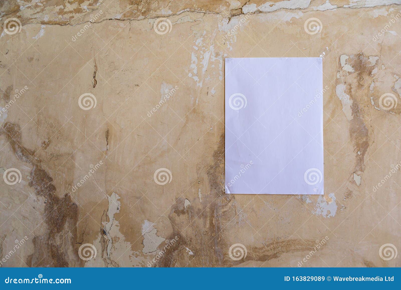 Blank sign stock image. Image of artwork, closeup, detail - 163829089