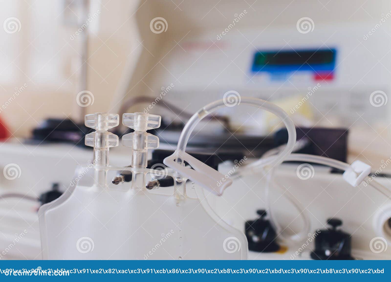 Close Up of Blood Extraction in Lab. Stock Image - Image of giving ...