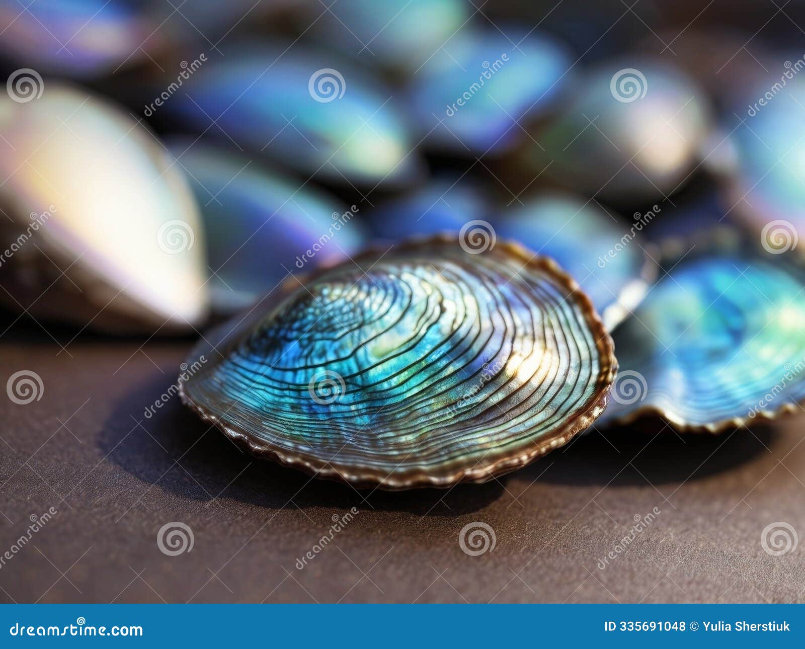 Close Up of Blue Abalone Pearl Shell with Shiny Layers. Stock Photo ...