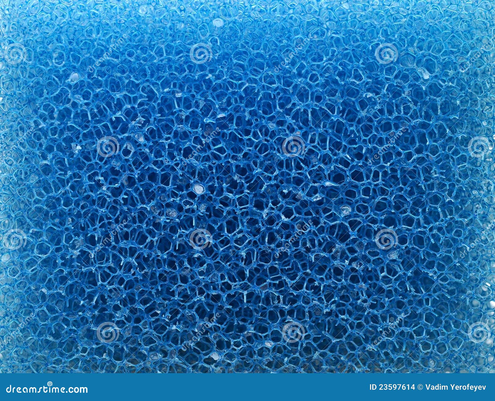 Close-up of Blue Cleaning Sponge Stock Photo - Image of textured ...