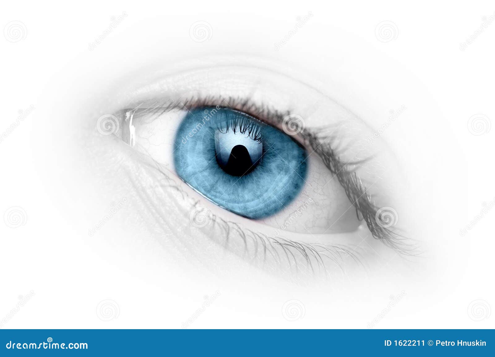 Close-up blue eye stock image. Image of bright, pupil - 1622211
