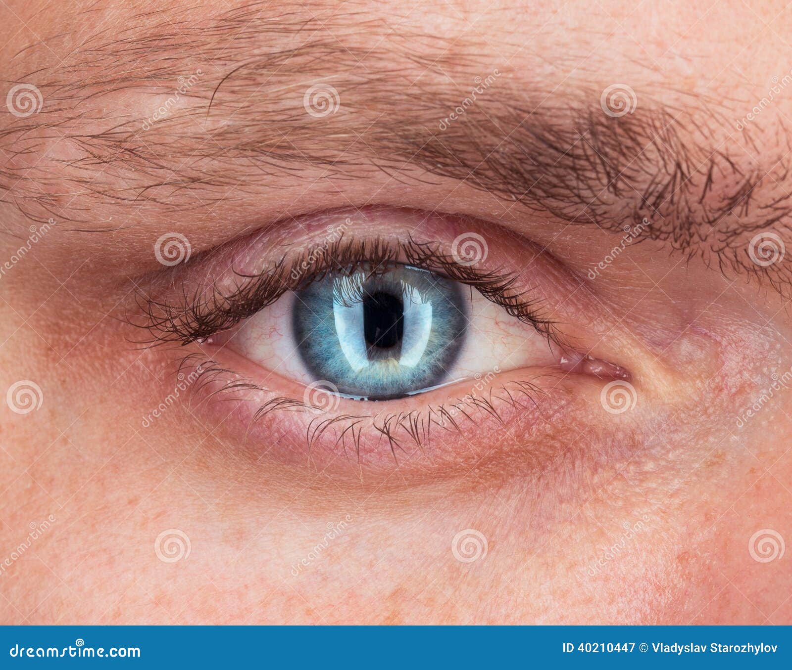 Close-up of blue eye a man stock image. Image of eyebrow - 40210447