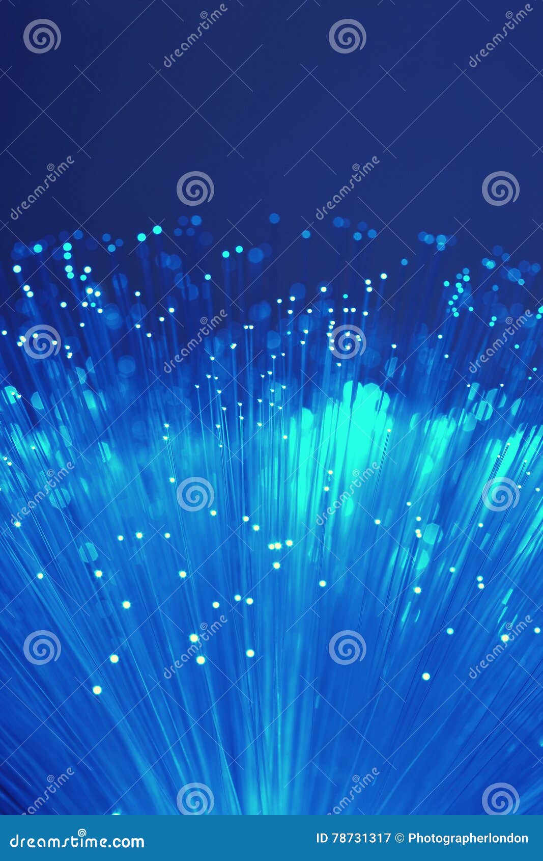 Close Up of Blue Fibre Optics Stock Image - Image of studio ...