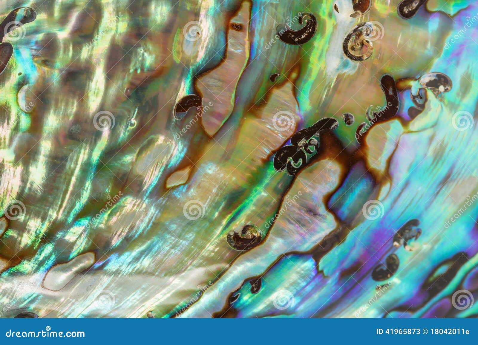 Close Up of Blue, Green and Purple Abalone Pearl Shell Stock Image ...