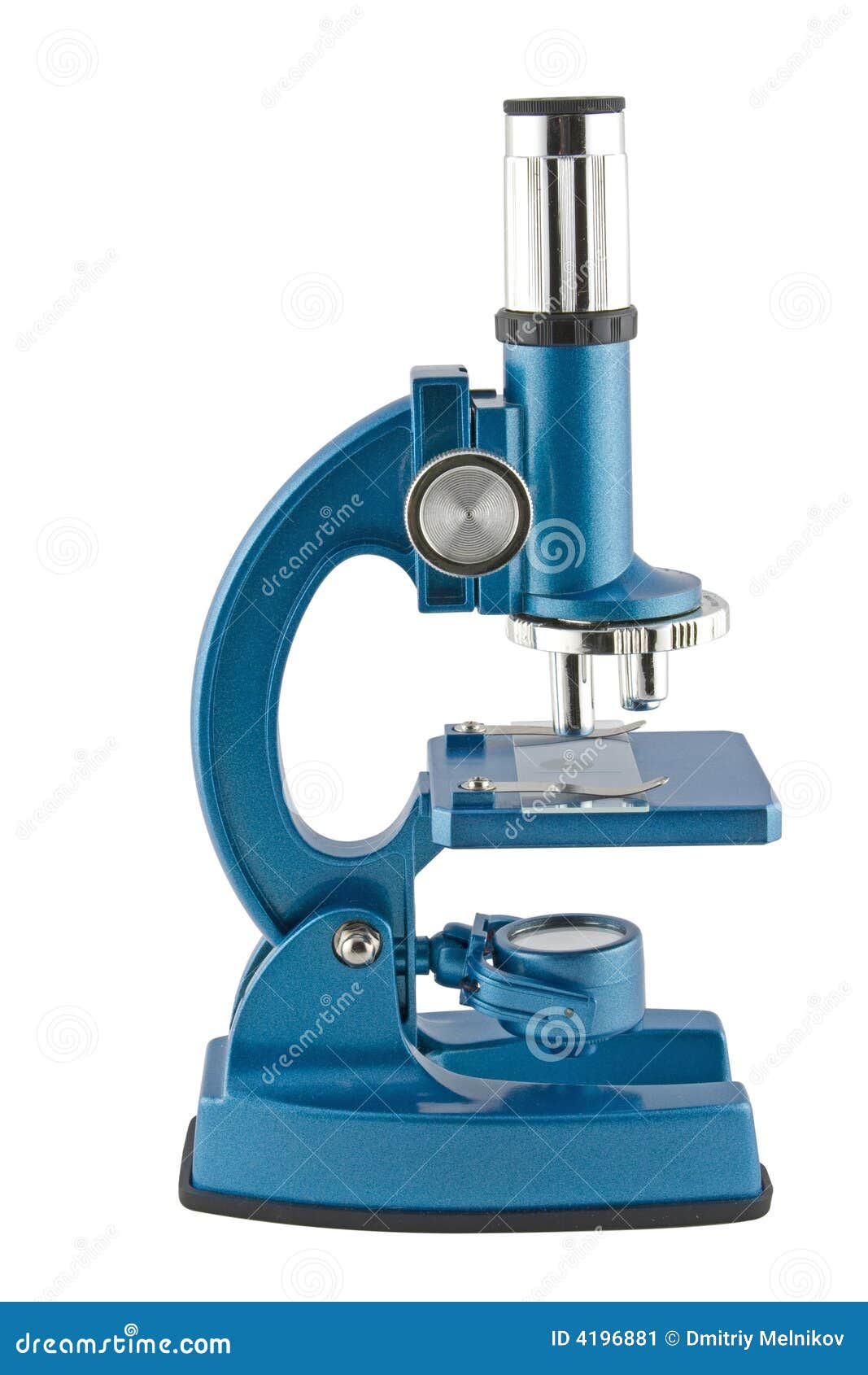 A Close Up Of A Microscope Image Showing The Head And Body Of An Insect ...