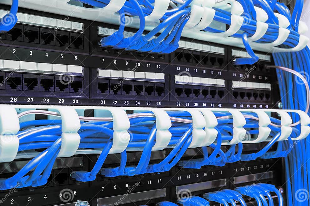 Close Up of Blue Network Cables Connected To Patch Panel Stock Photo ...