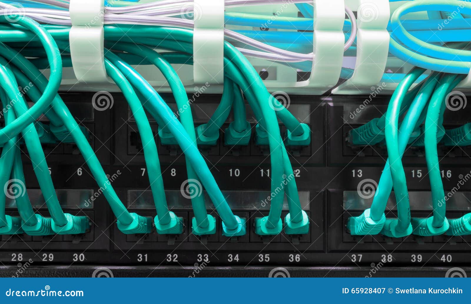 Close Up of Blue Network Cables Connected To Patch Panel Stock Image ...