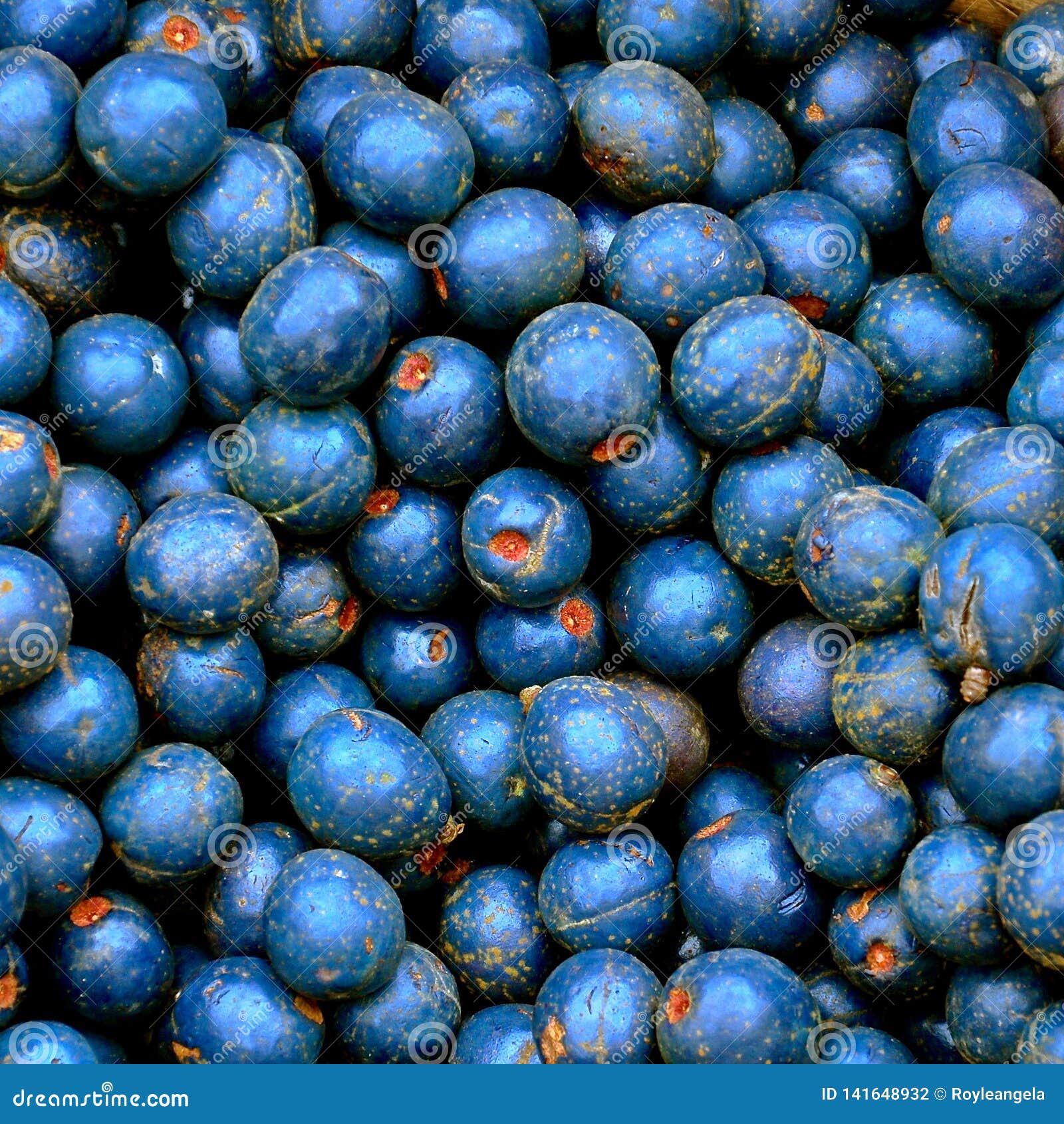 Close up of blueberries stock photo. Image of healthy - 141648932