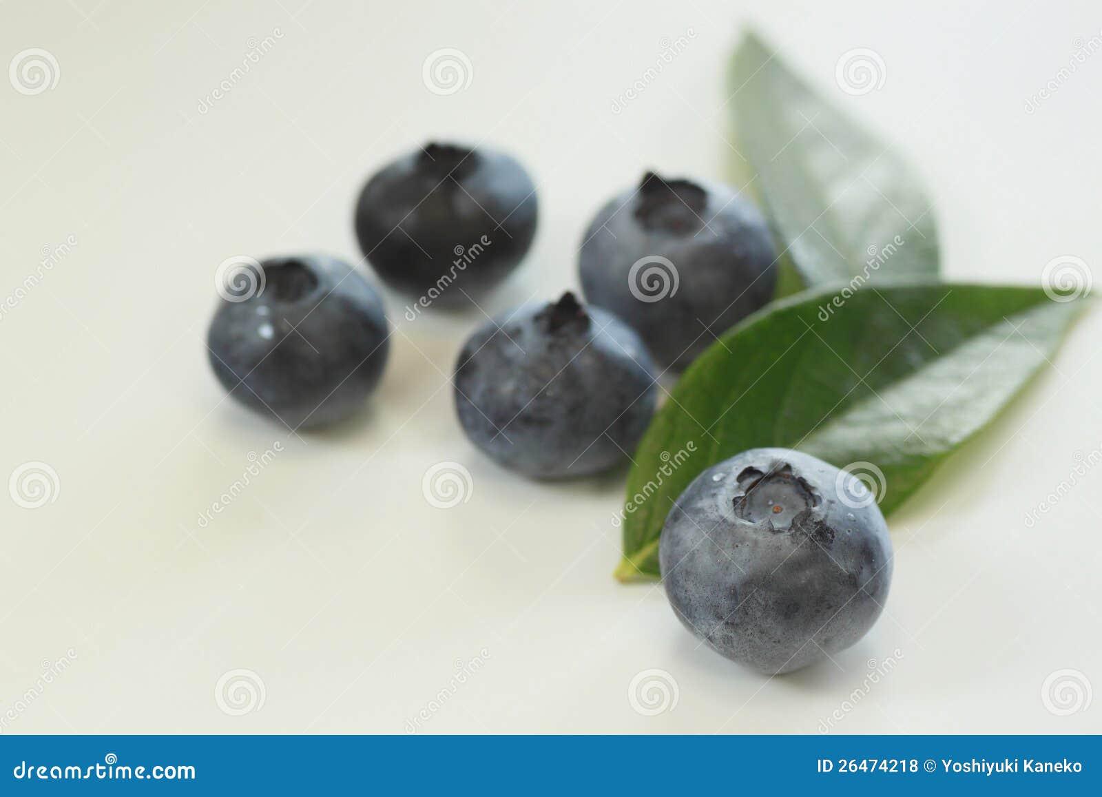 Close up blueberry stock photo. Image of green, tasteful - 26474218
