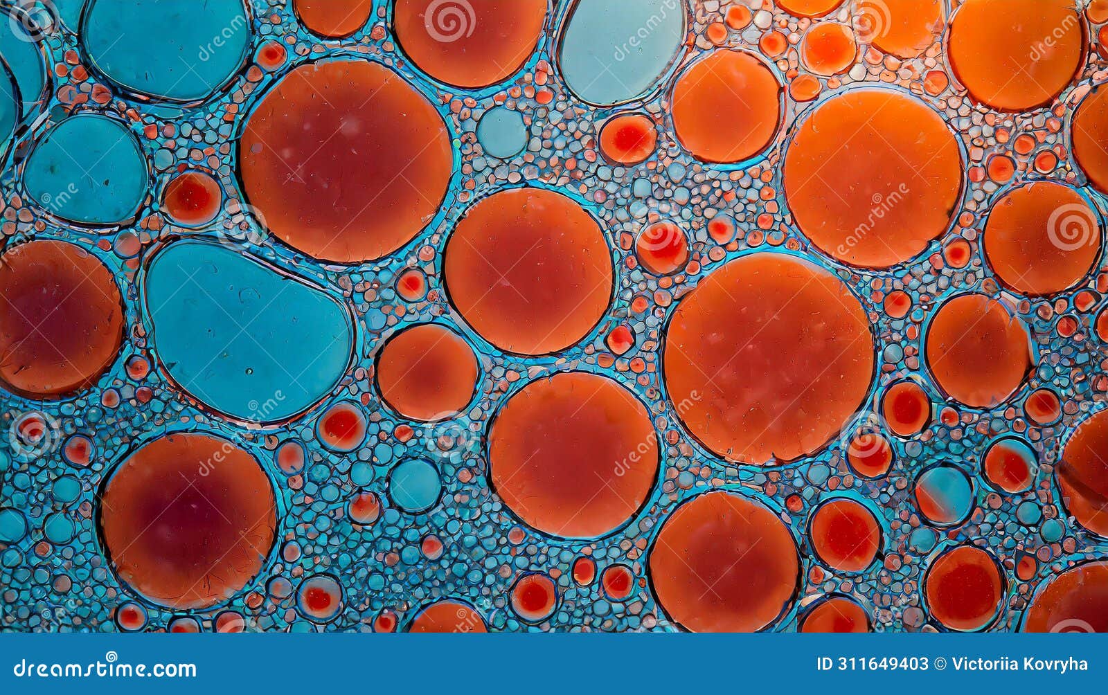 Close-up of Body Cells Under Microscope, Red and Blue Colors ...