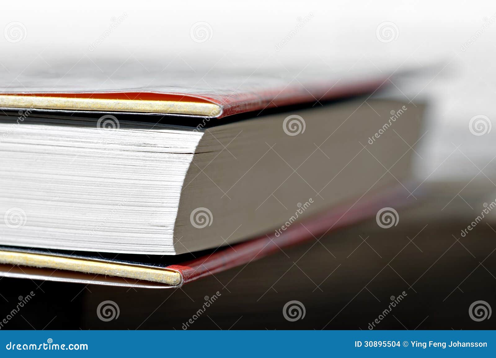 Close up of book stock photo. Image of reading, literature - 30895504
