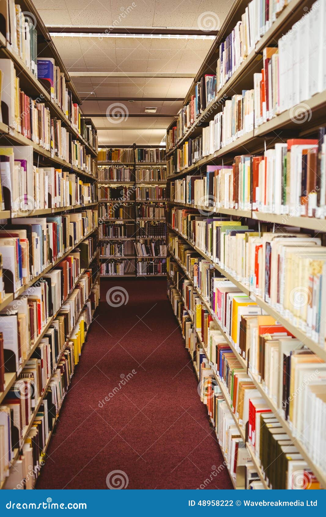 Close up of a bookshelf stock photo. Image of university - 48958222