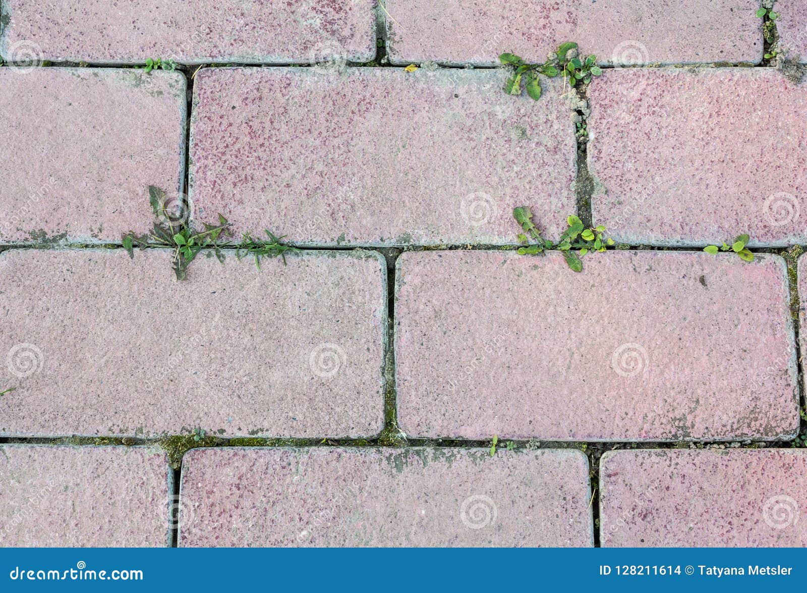 The Texture of the Stone. Background of Brick Paths. Stock Photo ...