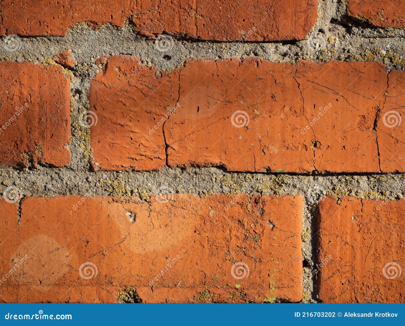 One Brick Texture