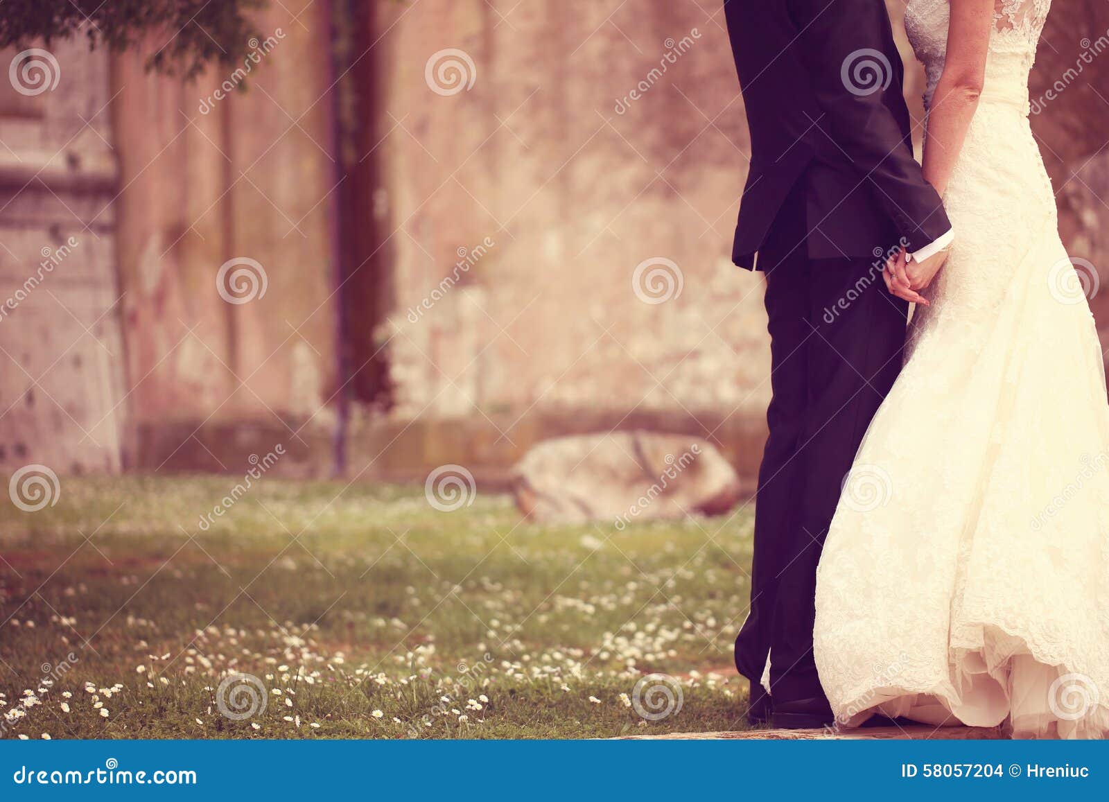 Close Up of a Bride and Groom Holding Hands Stock Photo - Image of ...