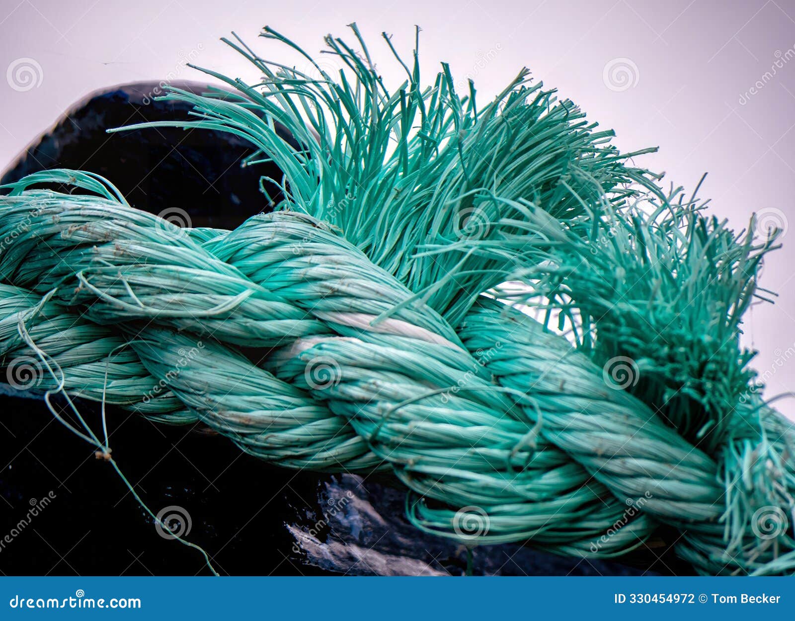 Close-up of Bright Green Rope and Strands of Rope Stock Photo - Image ...