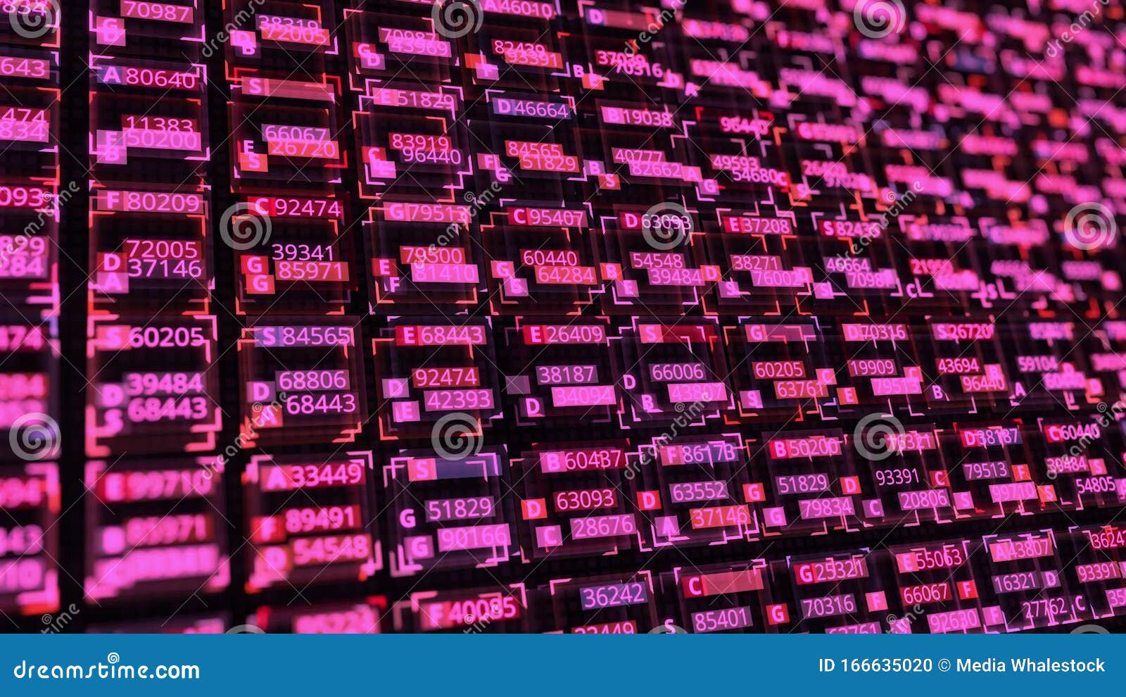 Close Up of Bright Pink Programming Code Rows Changing and Moving on ...