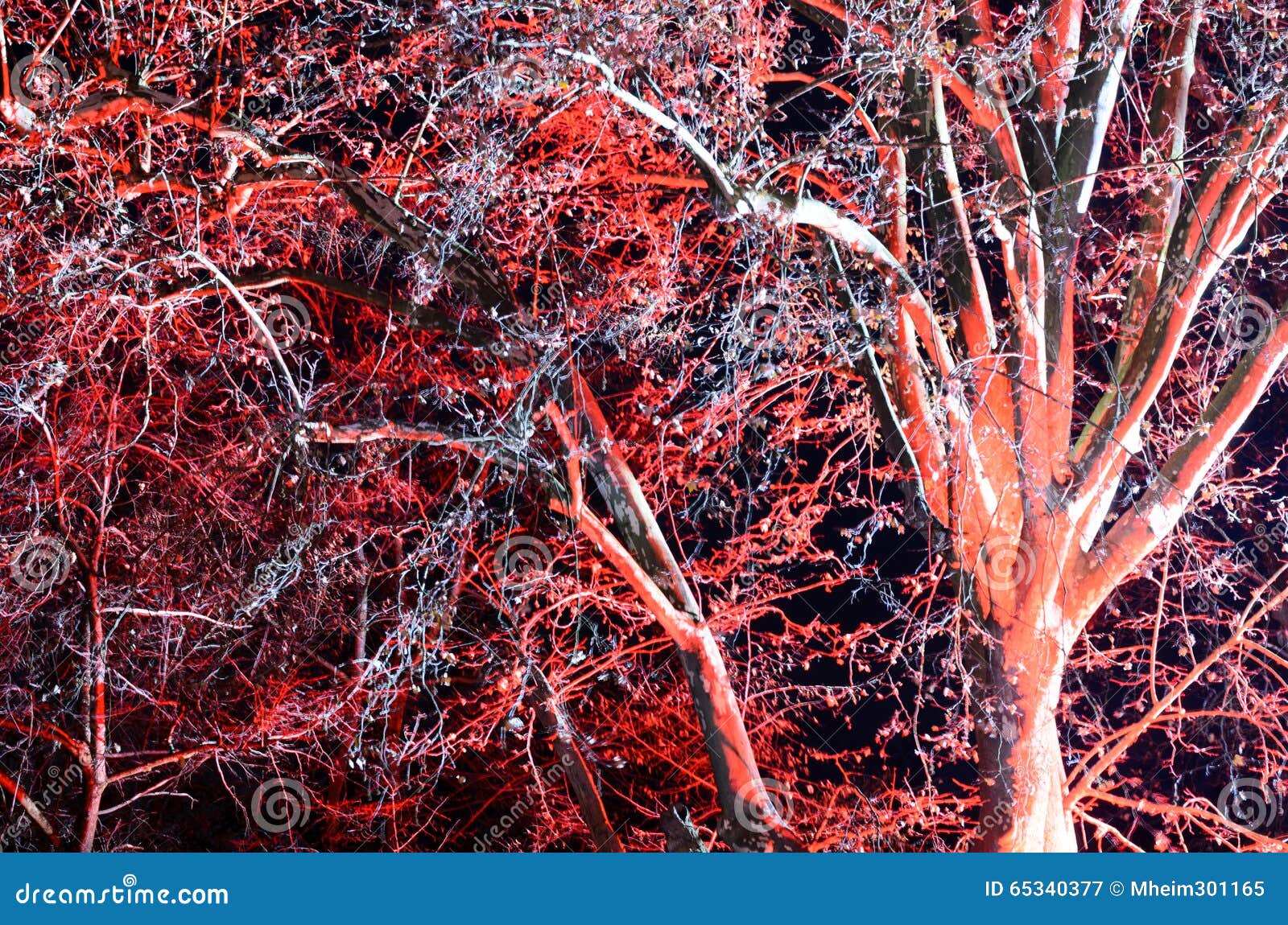Close Up of Bright Red Light on Tree Stock Image - Image of lights ...