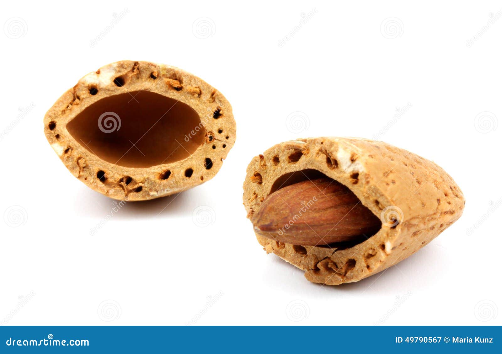 Close Up of Broken Almond Shell Stock Image - Image of cracked, oval ...