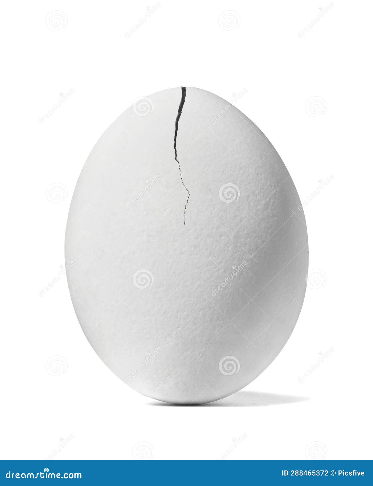 Egg Shell Food White Breakfast Ingredient Fragile Protein Half Chicken ...