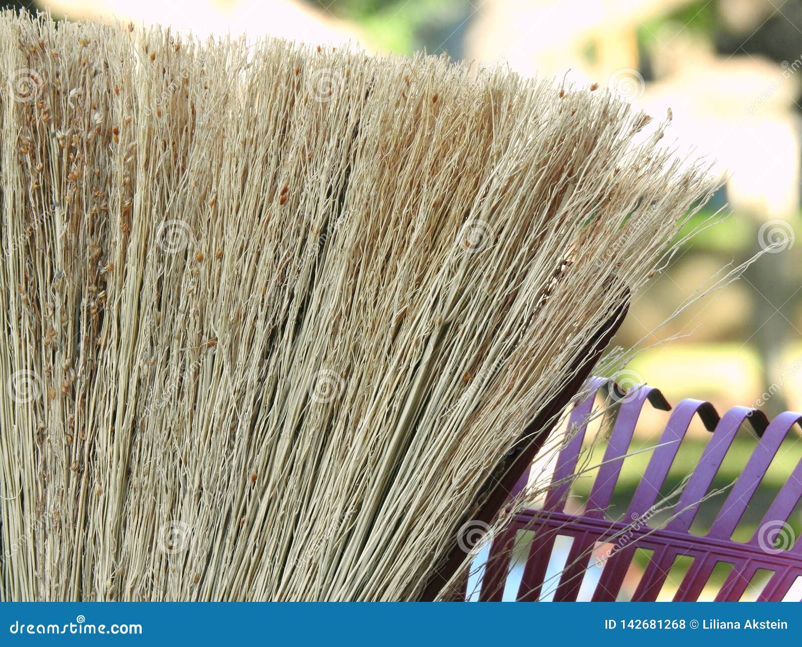 Close-up of a Broom and a Rake. Stock Photo - Image of close, rough ...