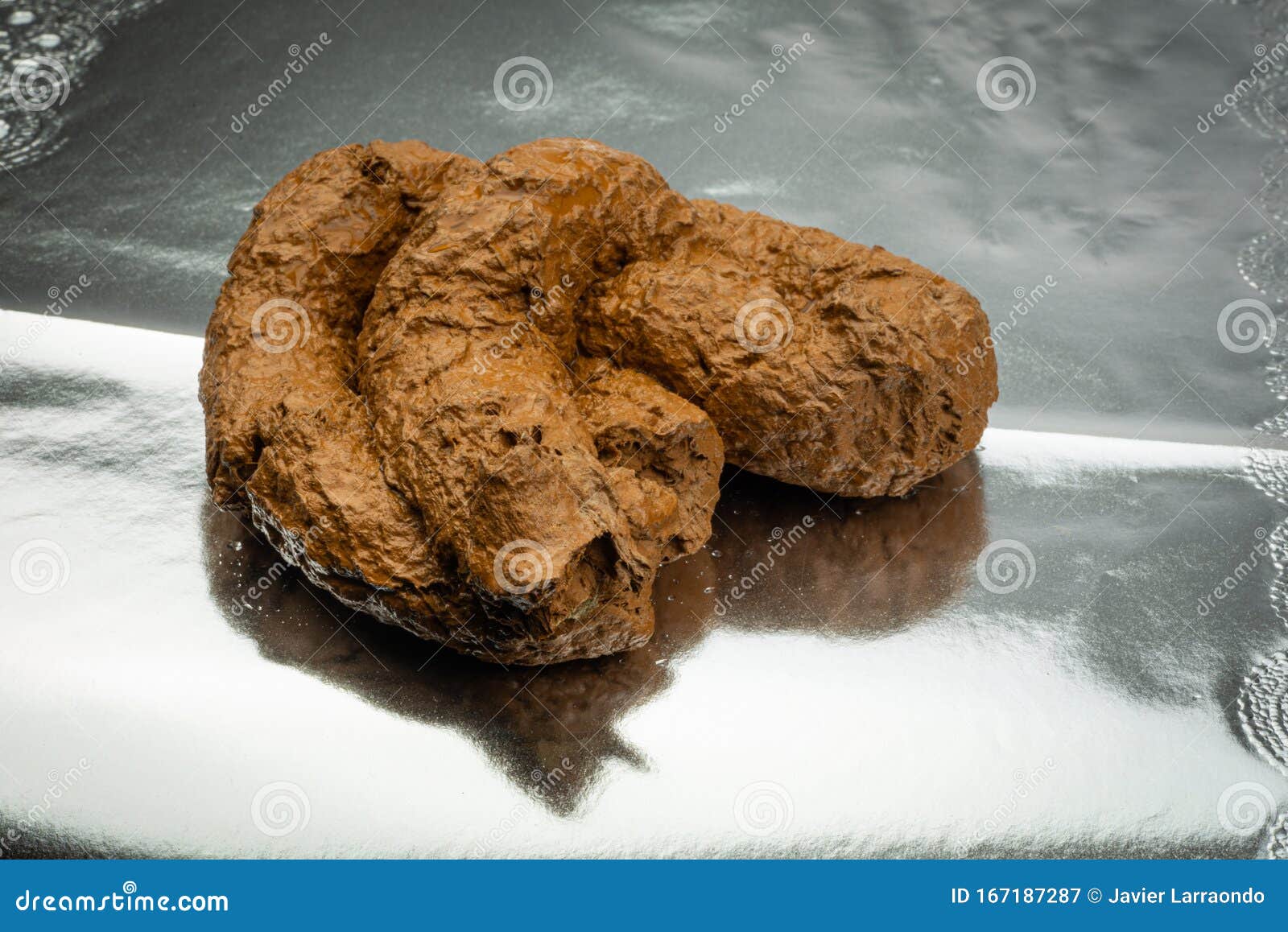 Close Up Brown Dog Poop Isolated Stock Image - Image of isolated, nasty ... Close Up Brown Dog Poop Isolated Stock Image - Image of isolated, nasty ...