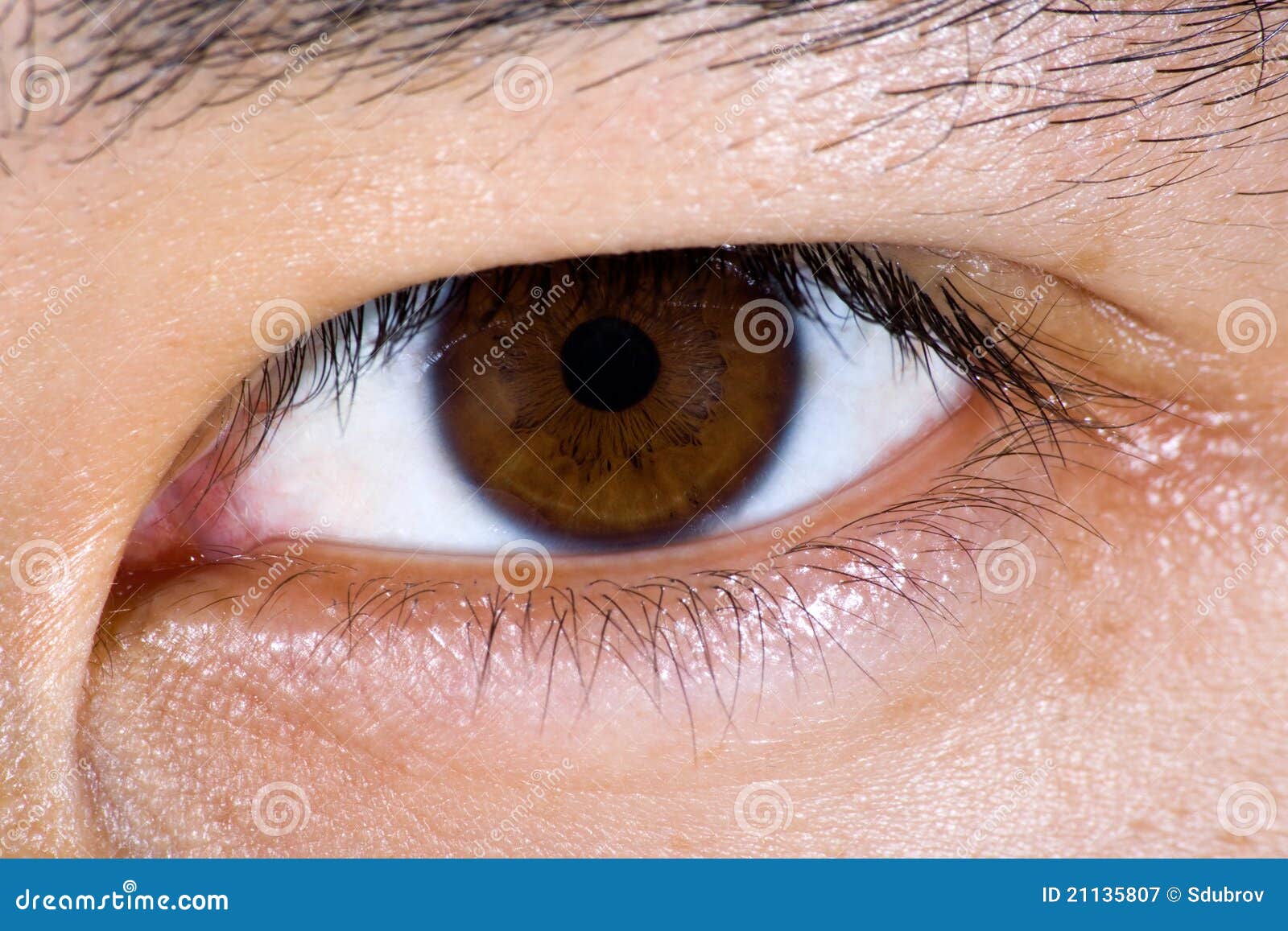 Close up of brown male eye stock image. Image of beautiful - 21135807