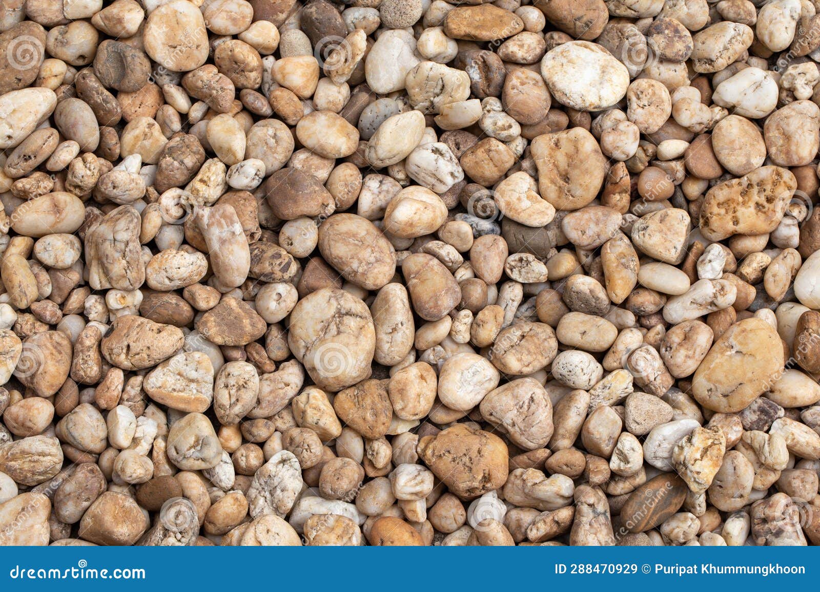 Close Up Brown Pebble Stone on the Floor for Texture Background Design ...