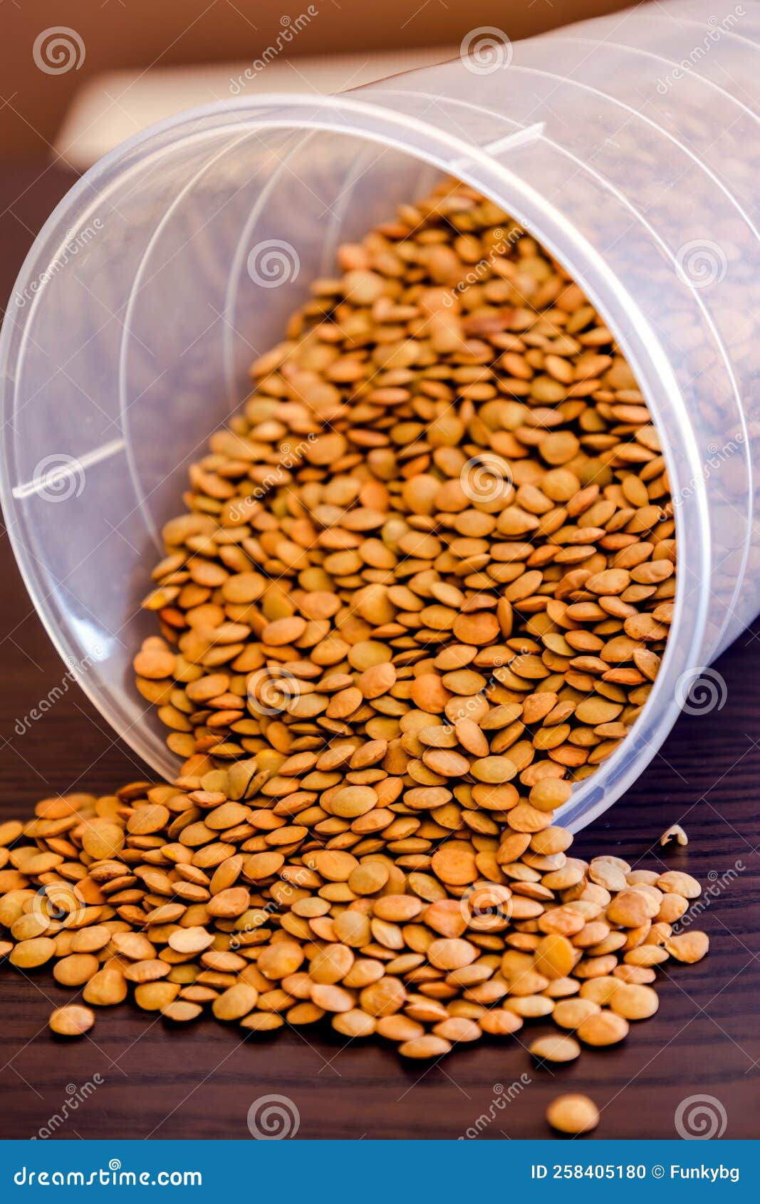 Closeup Brown Raw Lentils in Storage Container Stock Photo - Image of ...