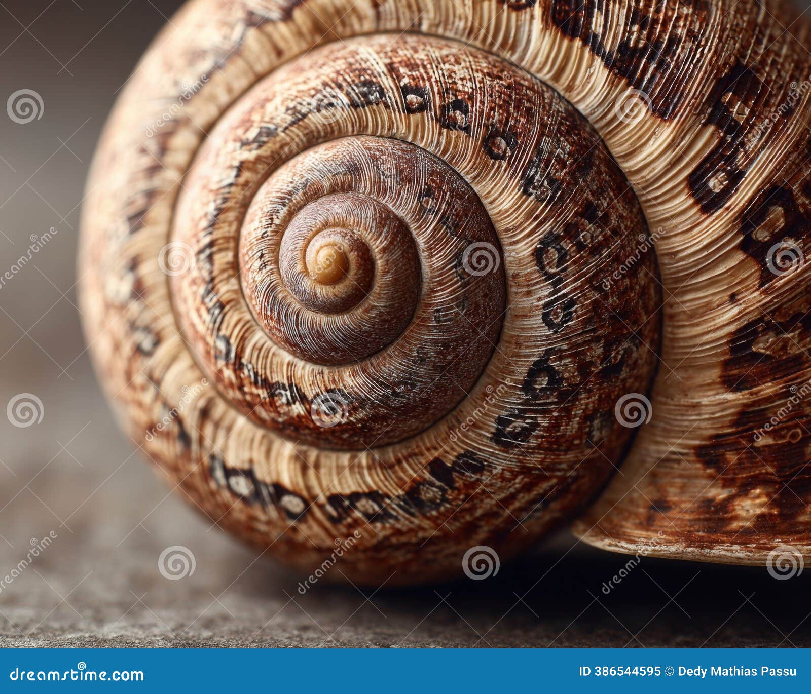 A Close-up Of Snail Excrement On A Leaf Showcasing The Ecosystem Role ...