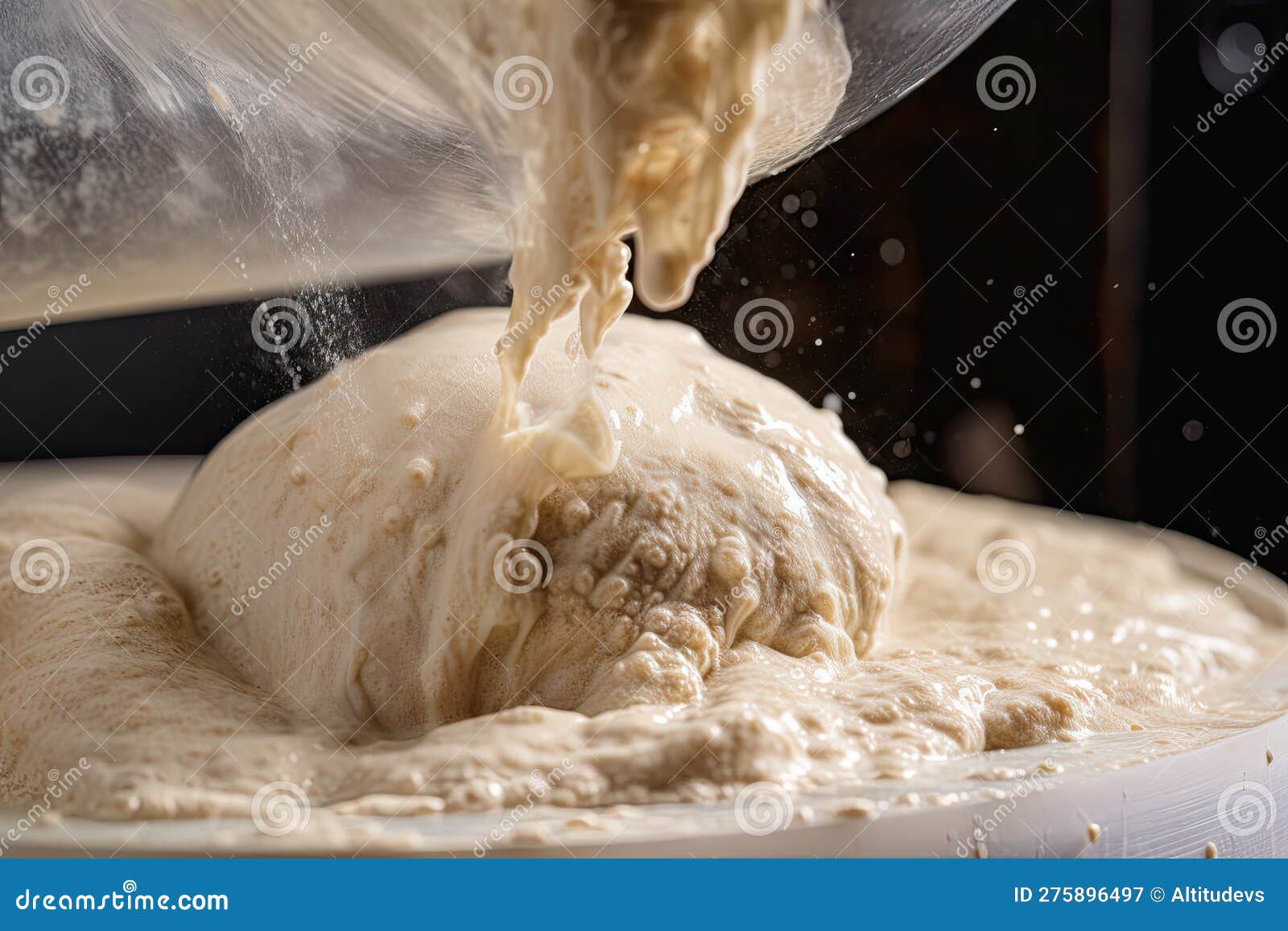 Close-up of a Bubbling Sourdough Starter, Showing the Fermentation ...