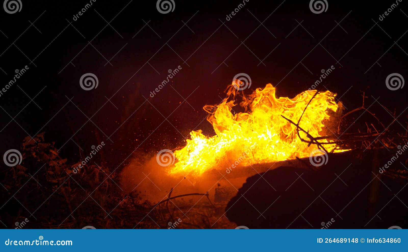 CLOSE UP: a Bucket of Fuel Gets Splashed Onto a Big Campfire Burning at ...