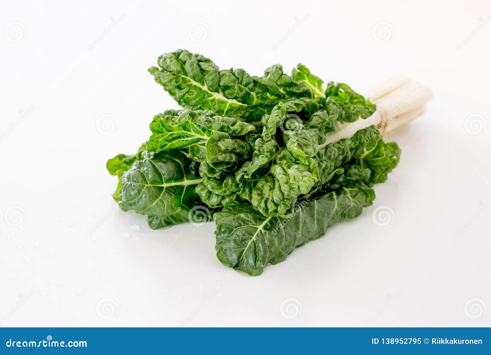Chard / Silver Beet on a White Background Stock Image - Image of health ...