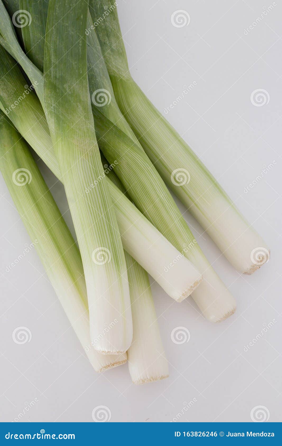 Bunch of Fresh Organic Green Leeks in a White Background Stock Photo ...
