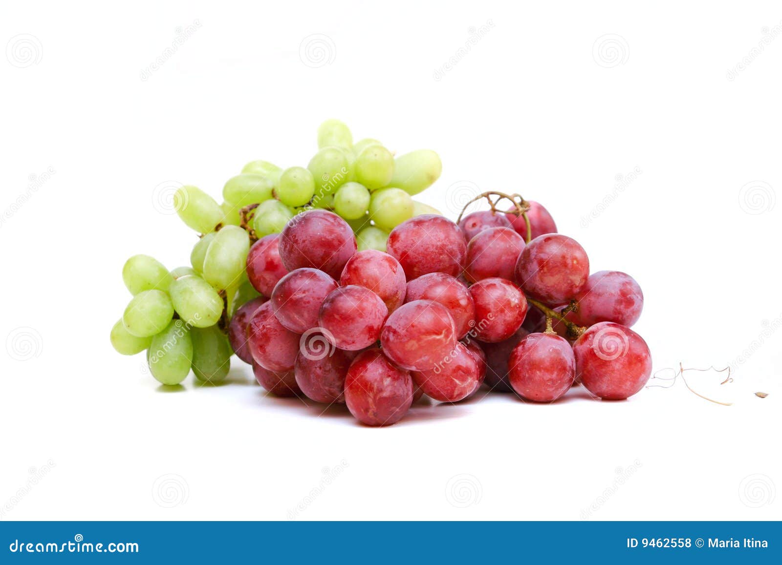 Close-up of a Bunch of Grapes Stock Photo - Image of blue, grape: 9462558