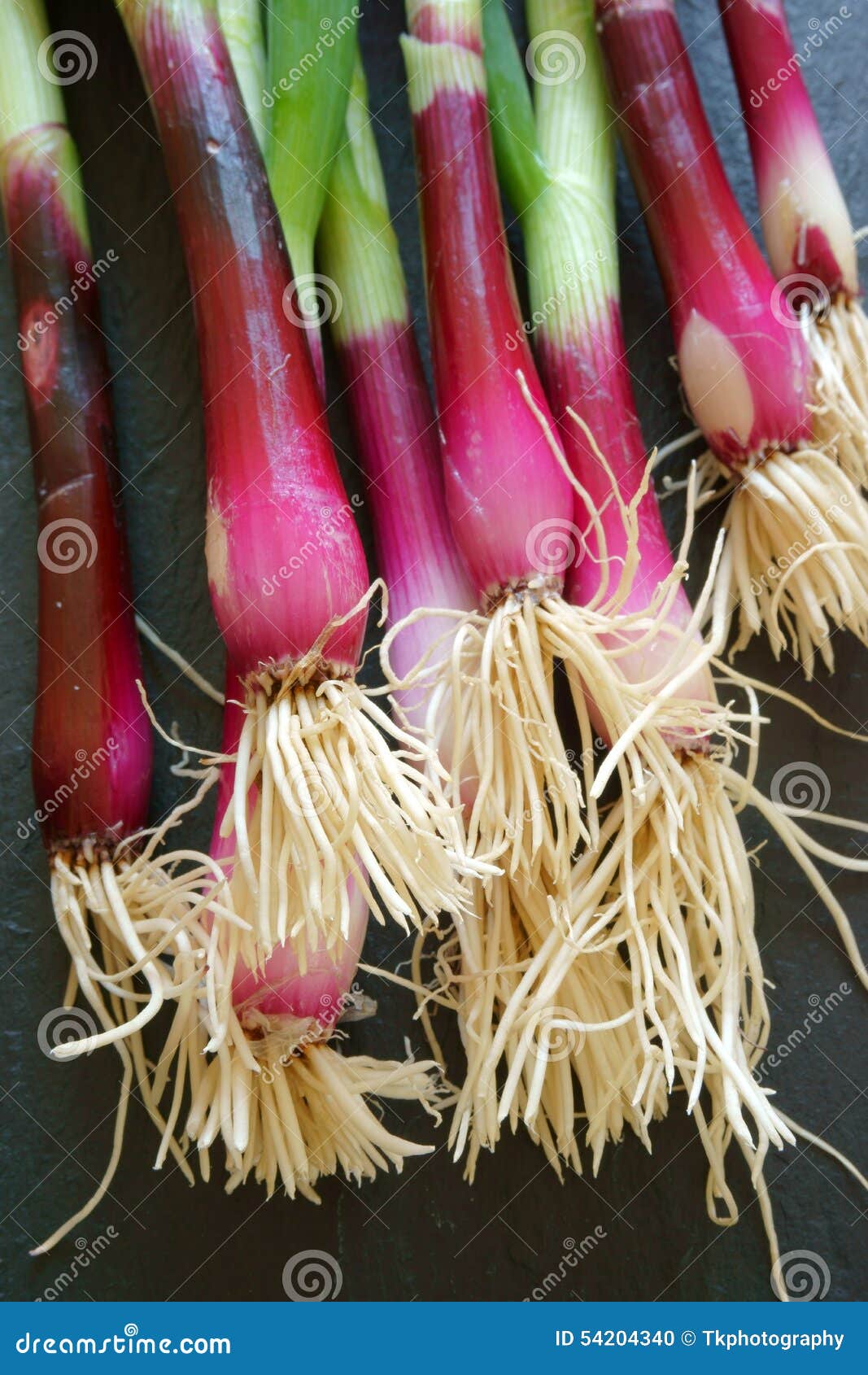 Close Up of a Bunch of Red Scallions Stock Photo - Image of food, board ...