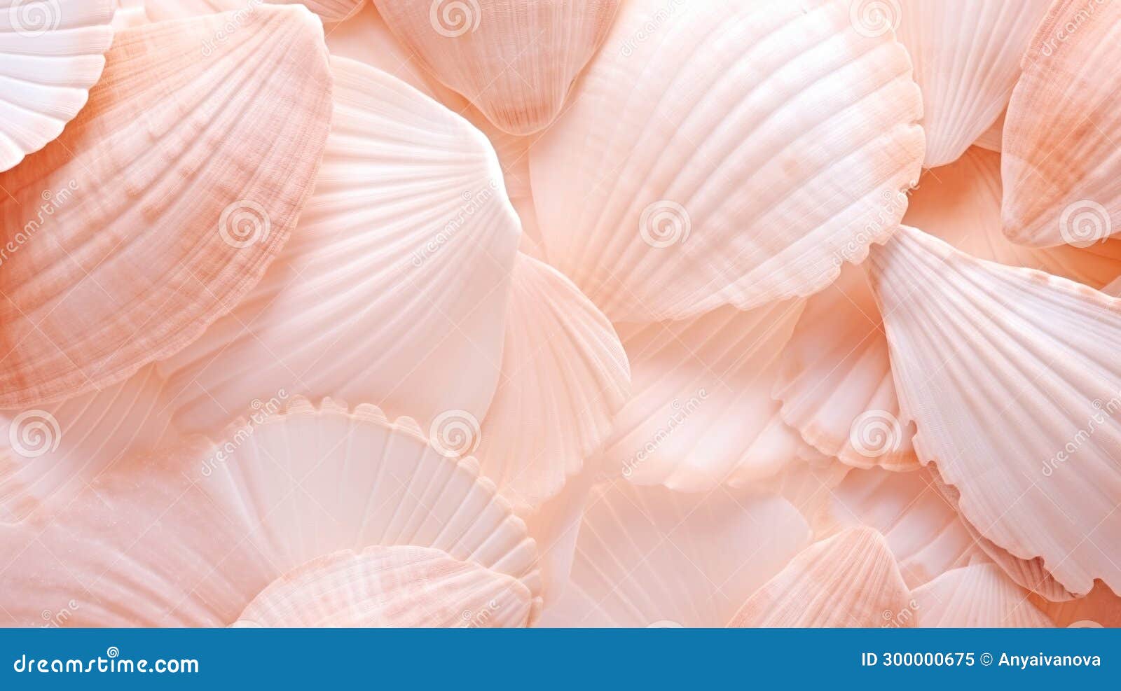 A Close Up of a Bunch of Shells, on Peach Fuzz Background. Stock ...