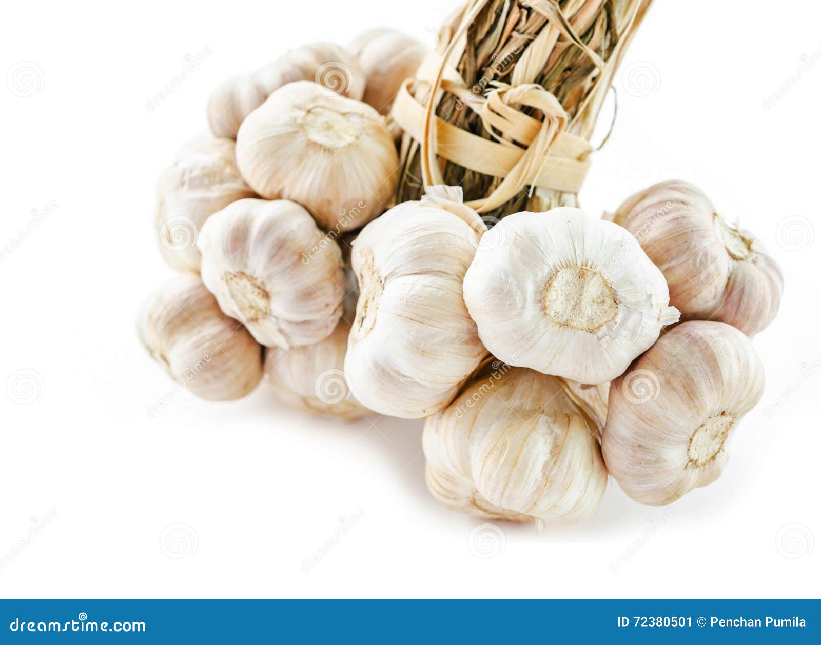 Close up bundle of garlic. stock image. Image of still - 72380501