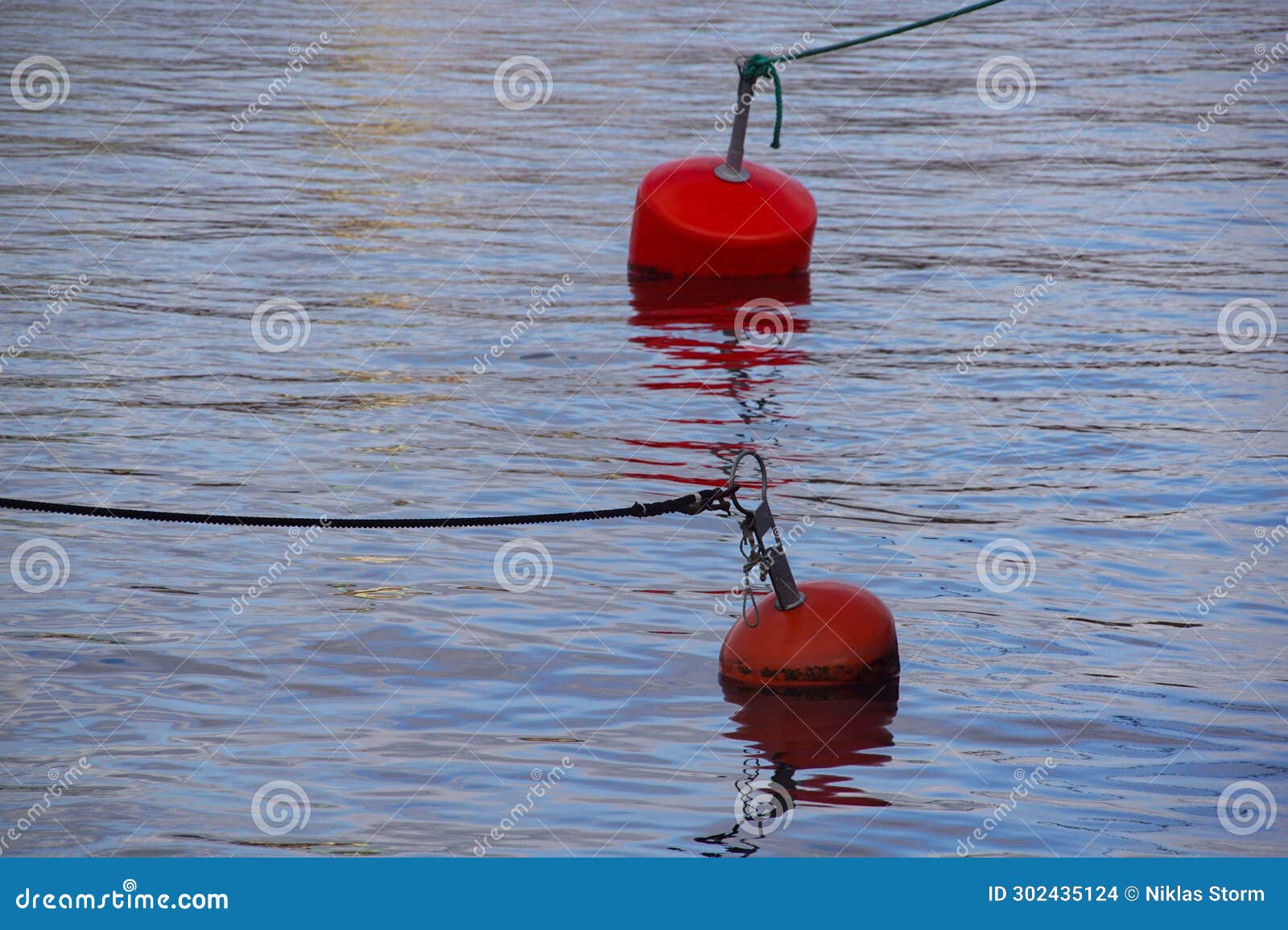 Close-up of Buoys Floating in Water Stock Photo - Image of floating ...