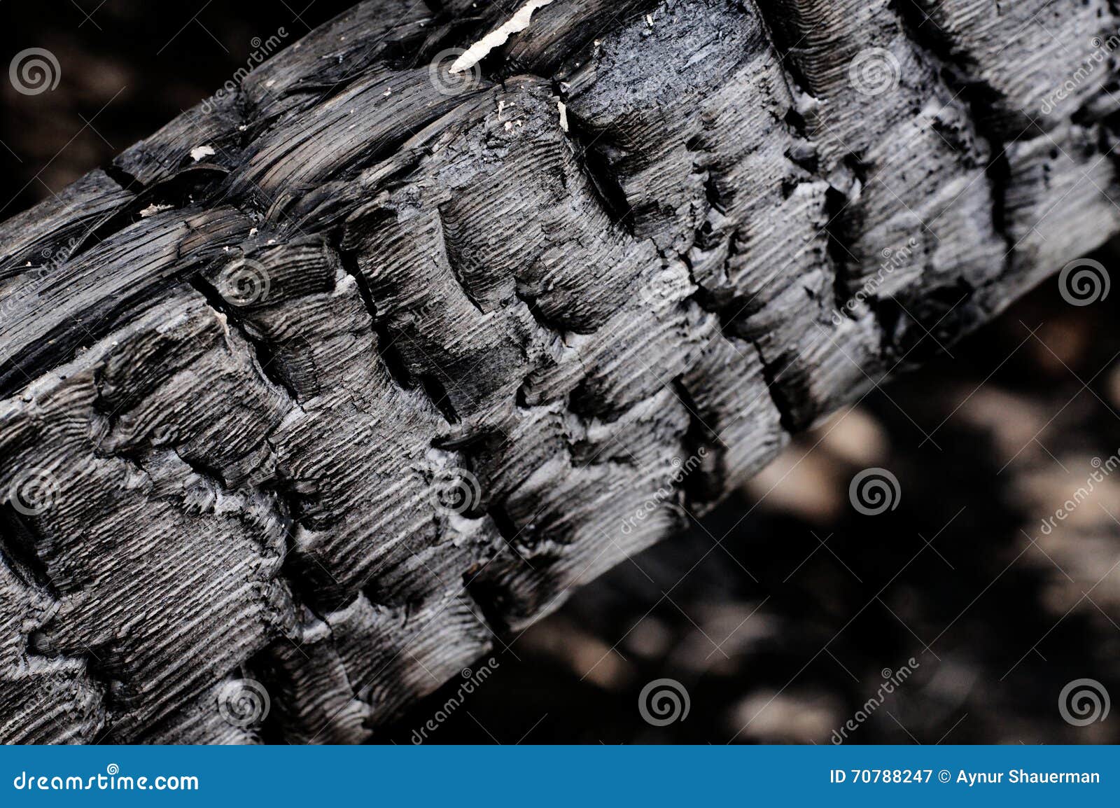 Close up of burn log stock image. Image of crack, wall - 70788247