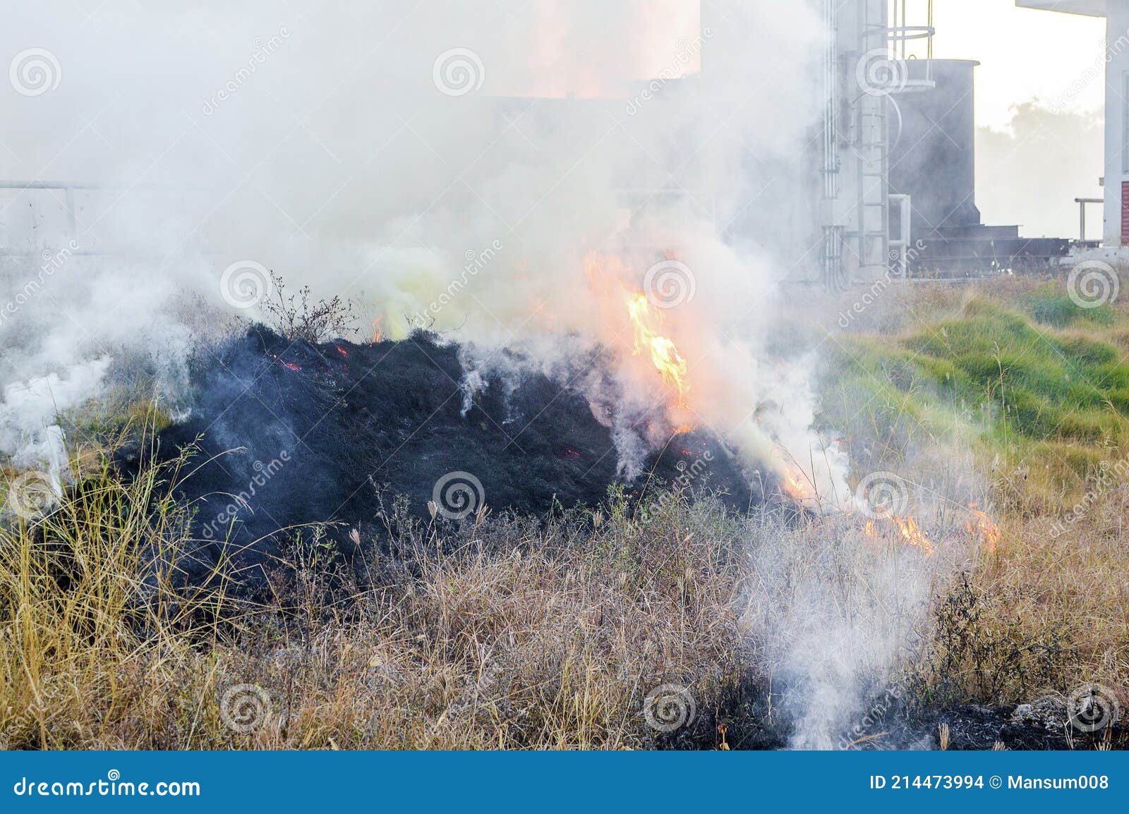 Burned ash from fire stock photo. Image of bonfire, fire - 214473994