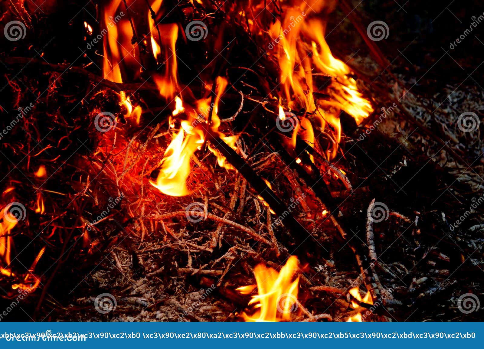 Burning Fire, almost Burnt Branches Stock Image - Image of ...