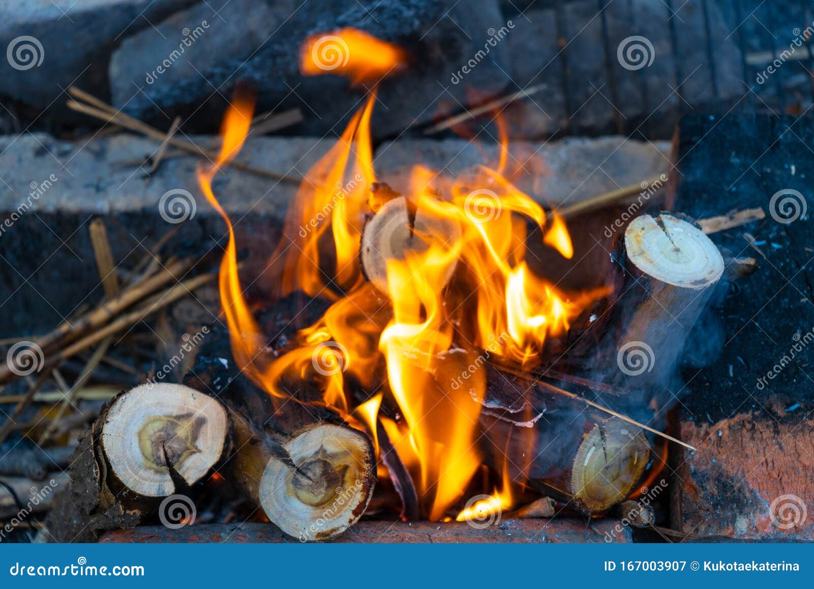 Close Up Burning Firewood Bonfire a a Stock Image - Image of bright ...