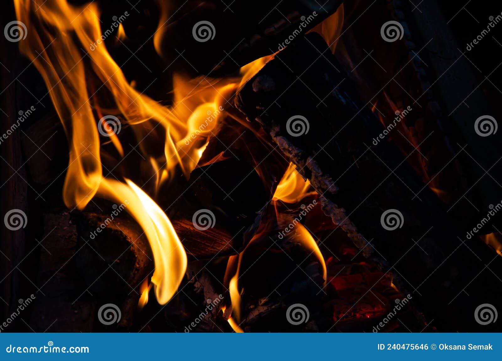 Close Up Burning Logs in Fire. Macro Shooting of Flames. Selective ...