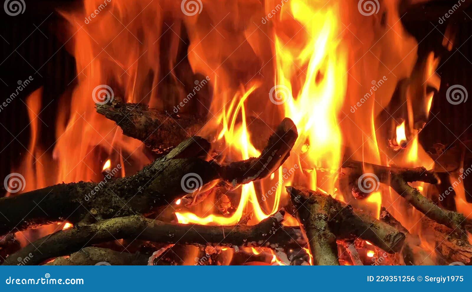 Close-up of Burning Wood, Fire Stock Footage - Video of background ...