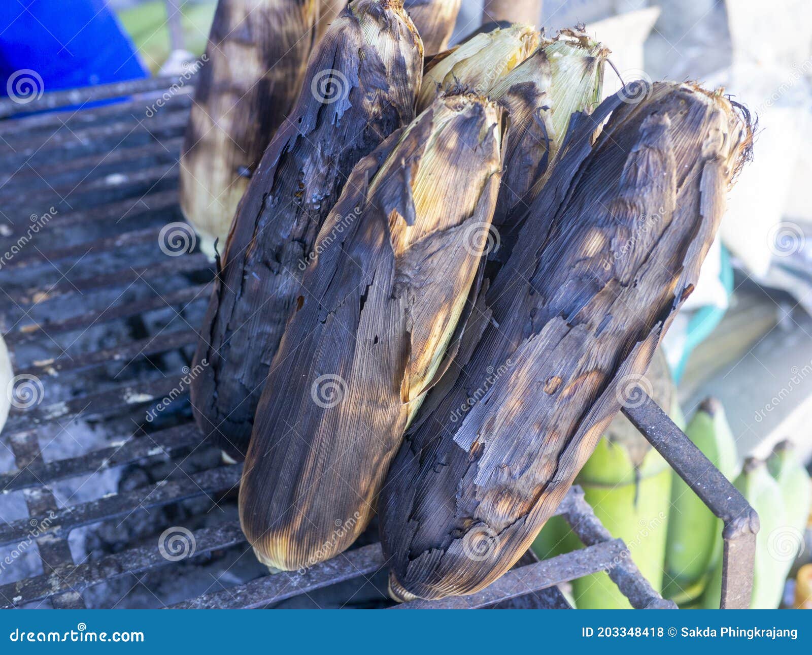 Close-up Burnt Corns Has Burn Marks on the Husk. Stock Photo - Image of ...