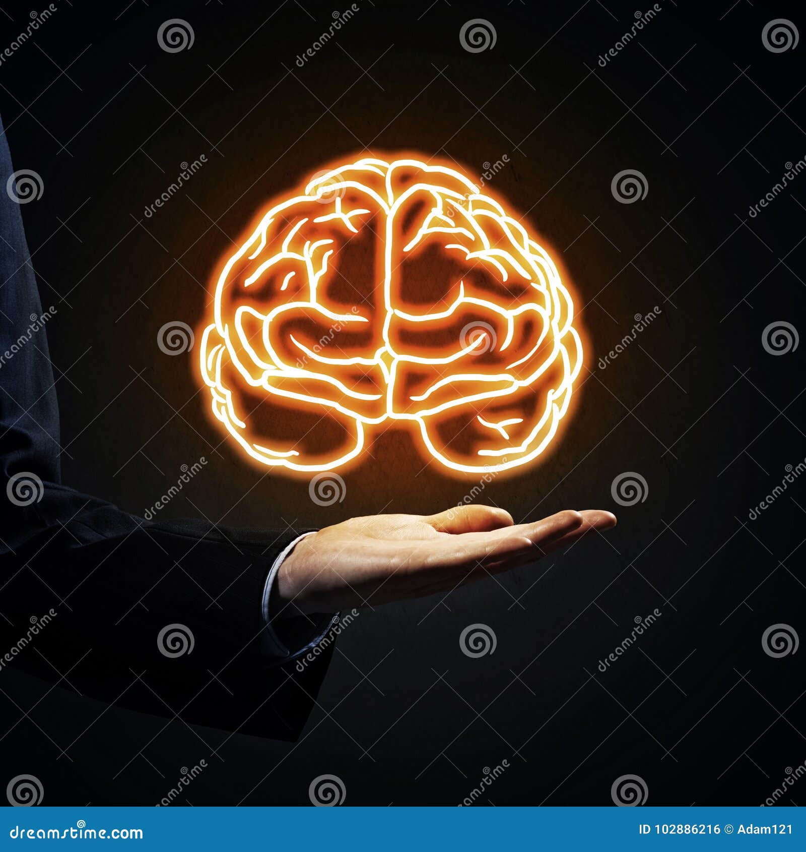 Develop our mind ability stock photo. Image of education - 102886216