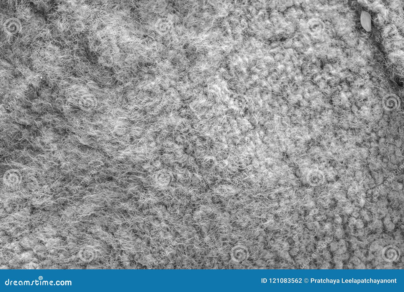 Close Up Camel Fur - Natural Texture Stock Photo - Image of closeup ...